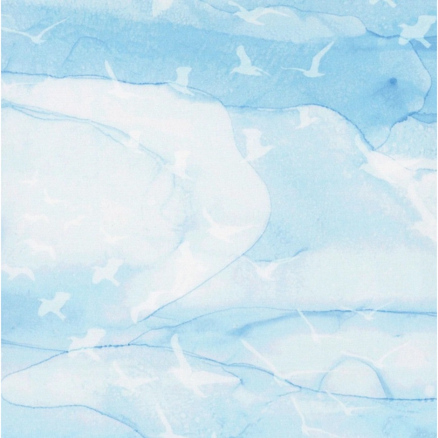 WHAT’S NEW? – Super Stitch Sewing, Vacuum & Learning Center